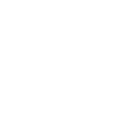 core_values_transparent | Capitalogix