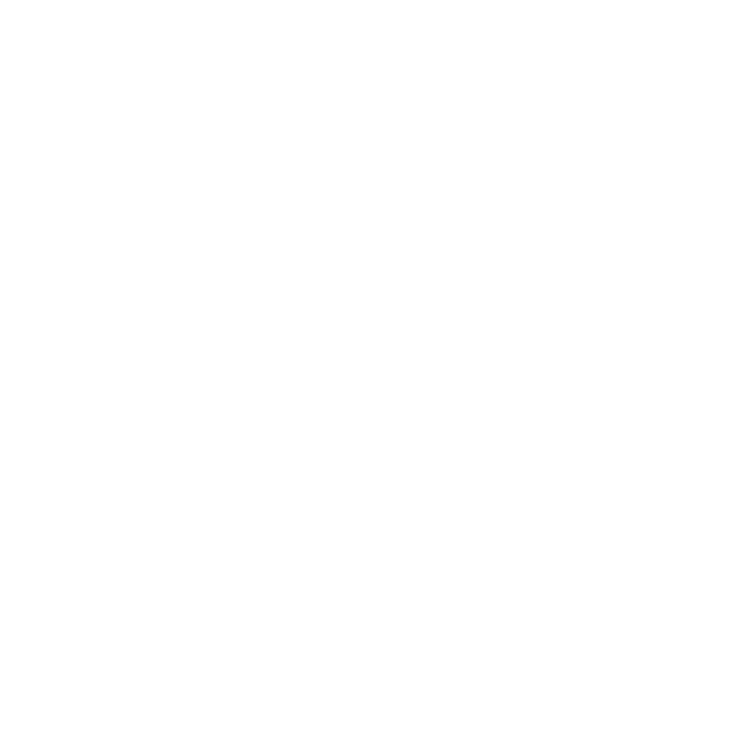 core_values_transparent | Capitalogix